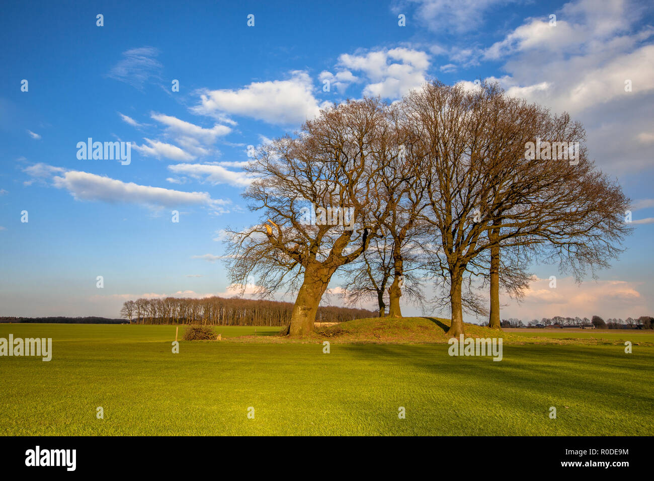 Open grave hi-res stock photography and images - Alamy