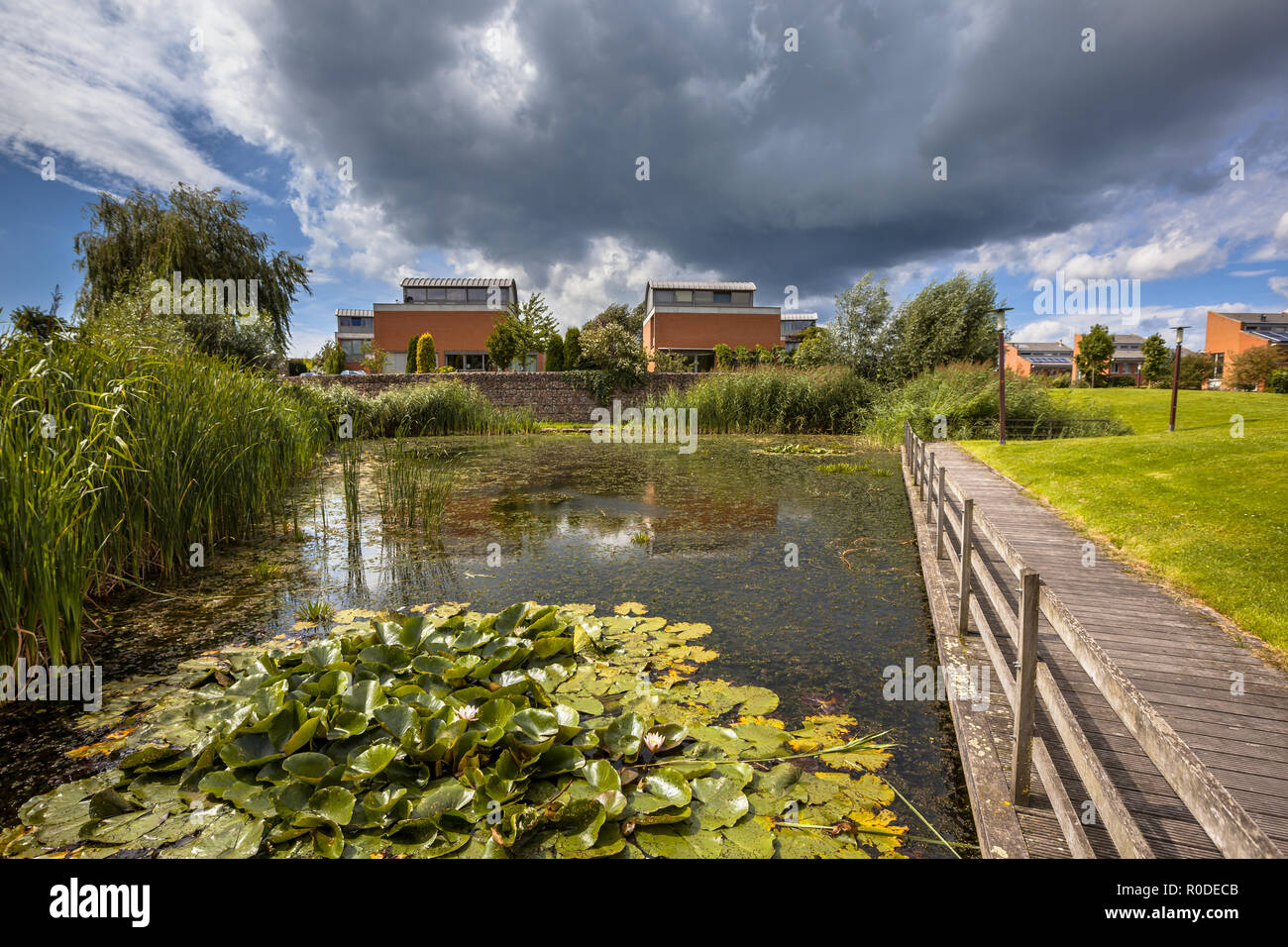 Park with pond and boardwalk overlooked by houses under a dramatic sky ...