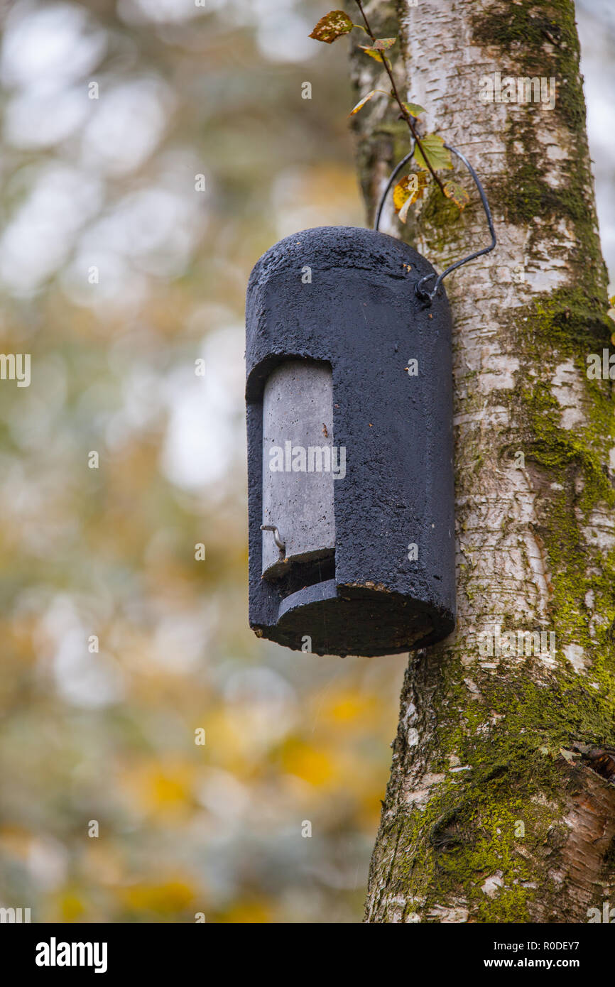 Modern design Batbox made of Wood Concrete Stock Photo - Alamy