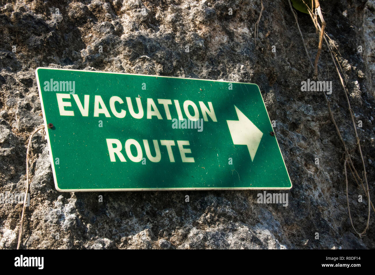evacuation route sign photo Stock Photo - Alamy
