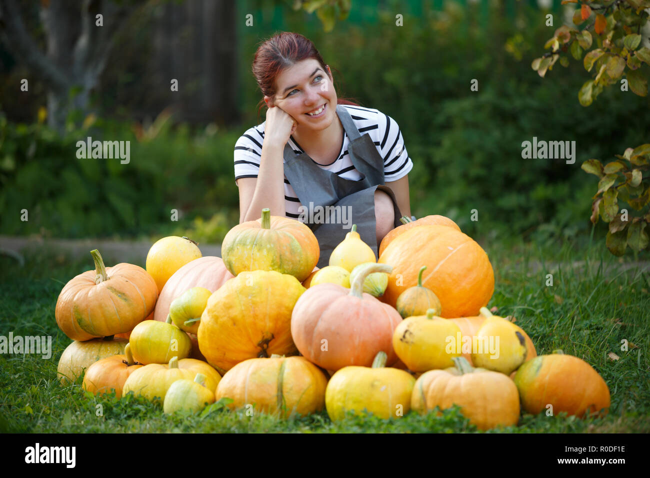 Photo of happy gardener brunette in gray apron among pumpkin harvest on ...