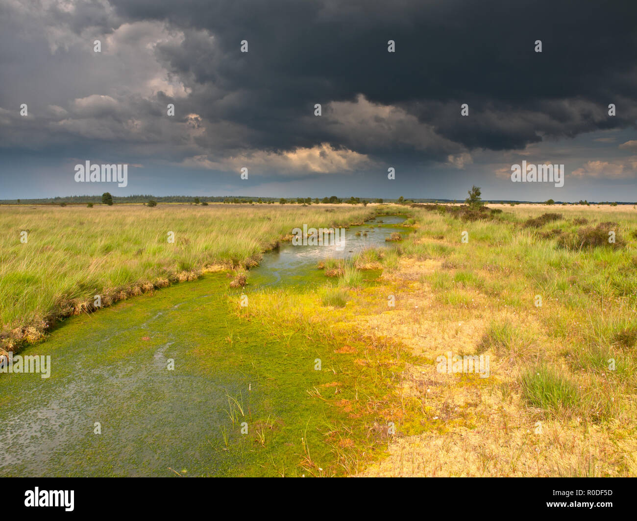 Moor storm hi-res stock photography and images - Alamy