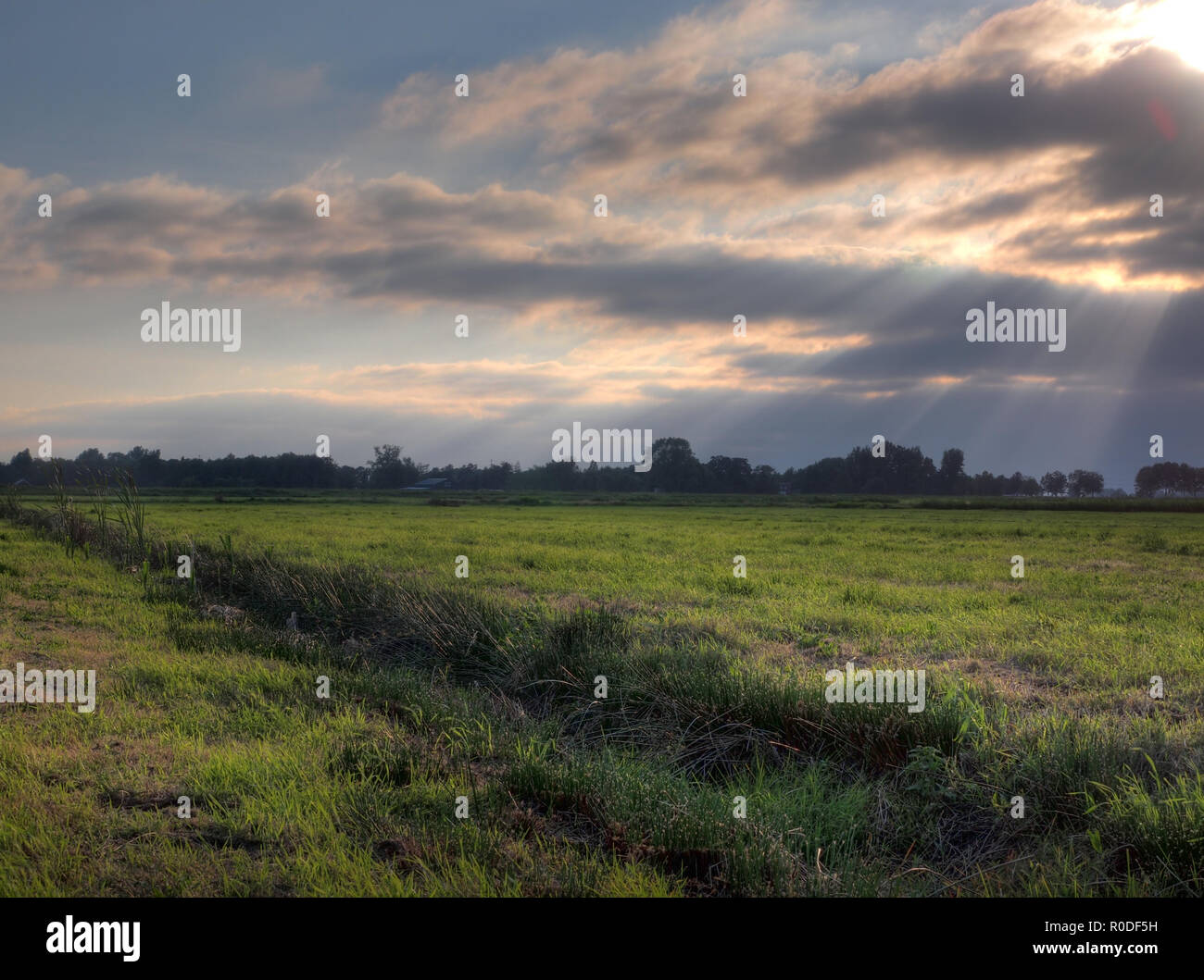Trench environment hi-res stock photography and images - Alamy