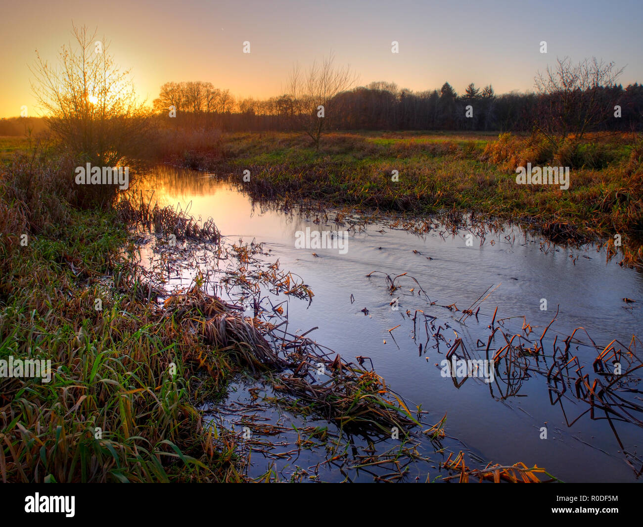 Setting sun shines through a tree above a natural stream Stock Photo ...