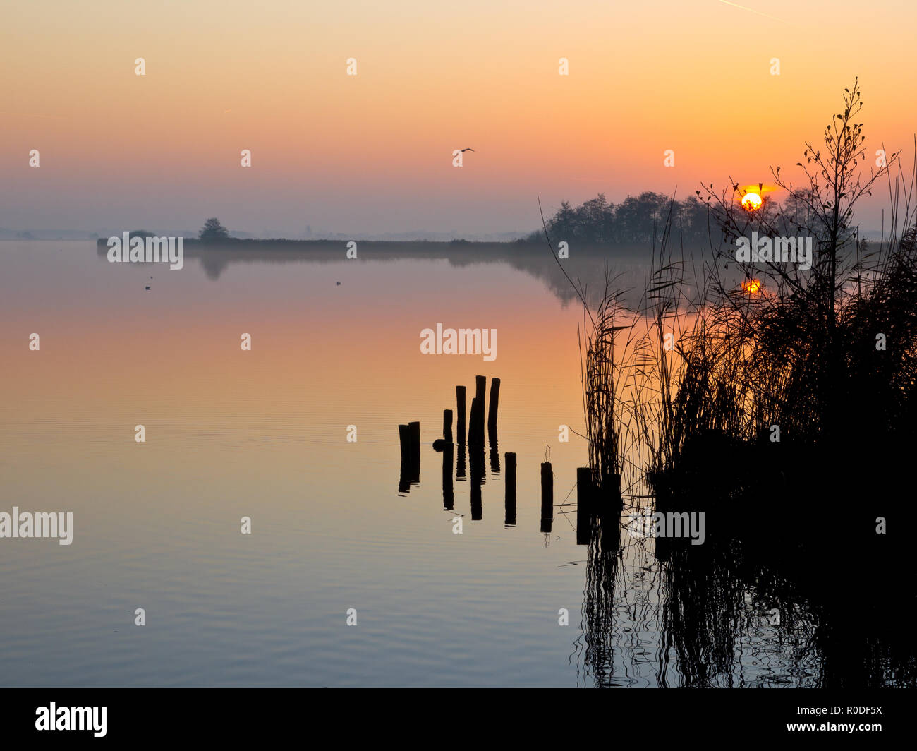 Reflecting sunset over lakeside Stock Photo - Alamy
