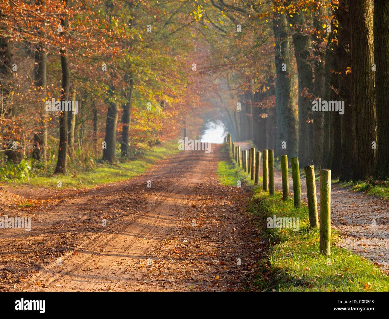 Illuminated in vivid colors hi-res stock photography and images - Alamy