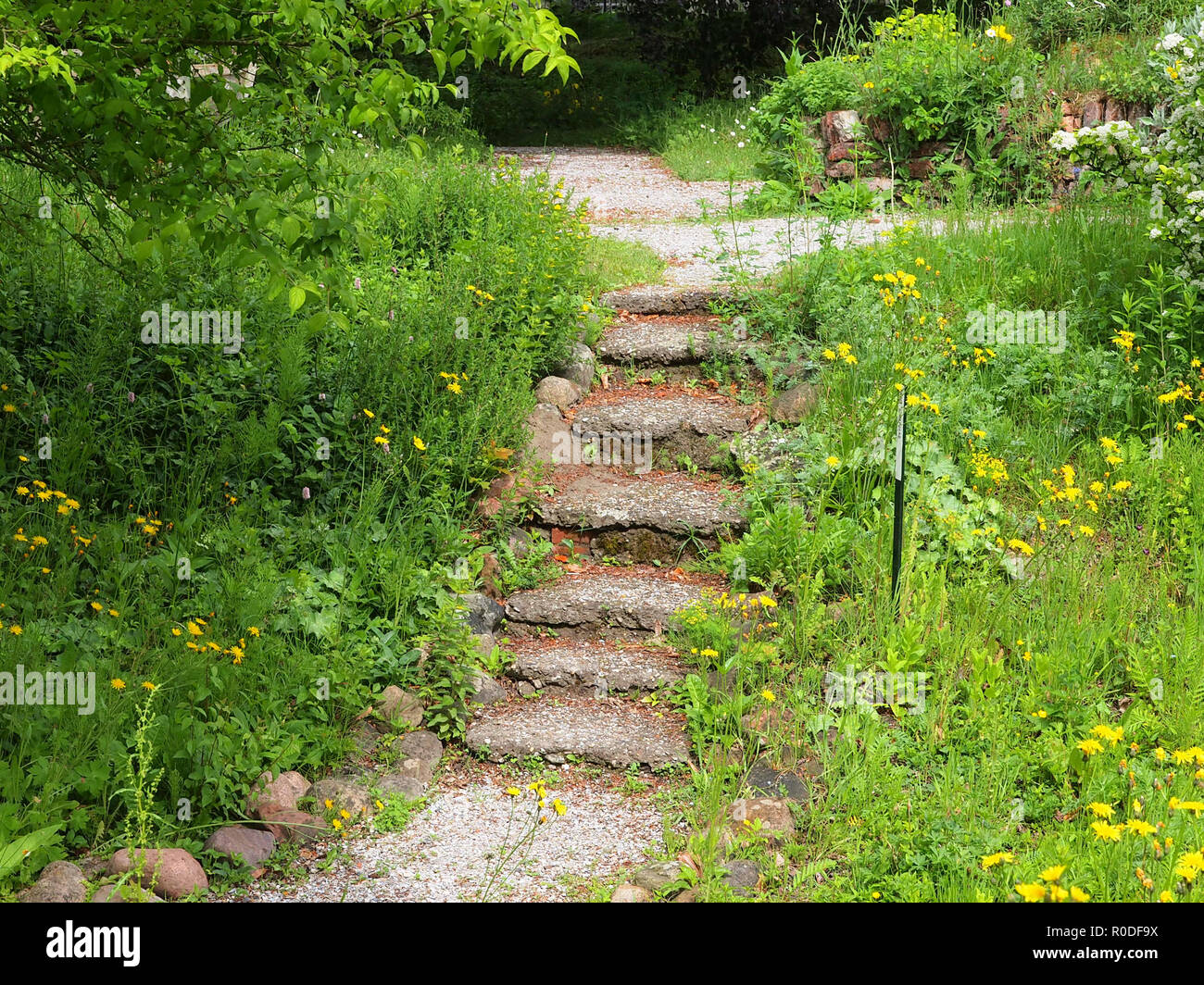 Natural spring stone stairway path hi-res stock photography and images ...