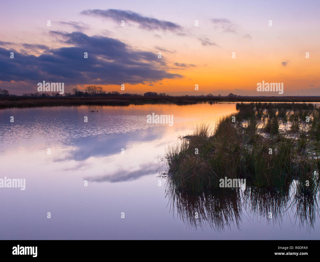Wetland at sunset hi-res stock photography and images - Alamy