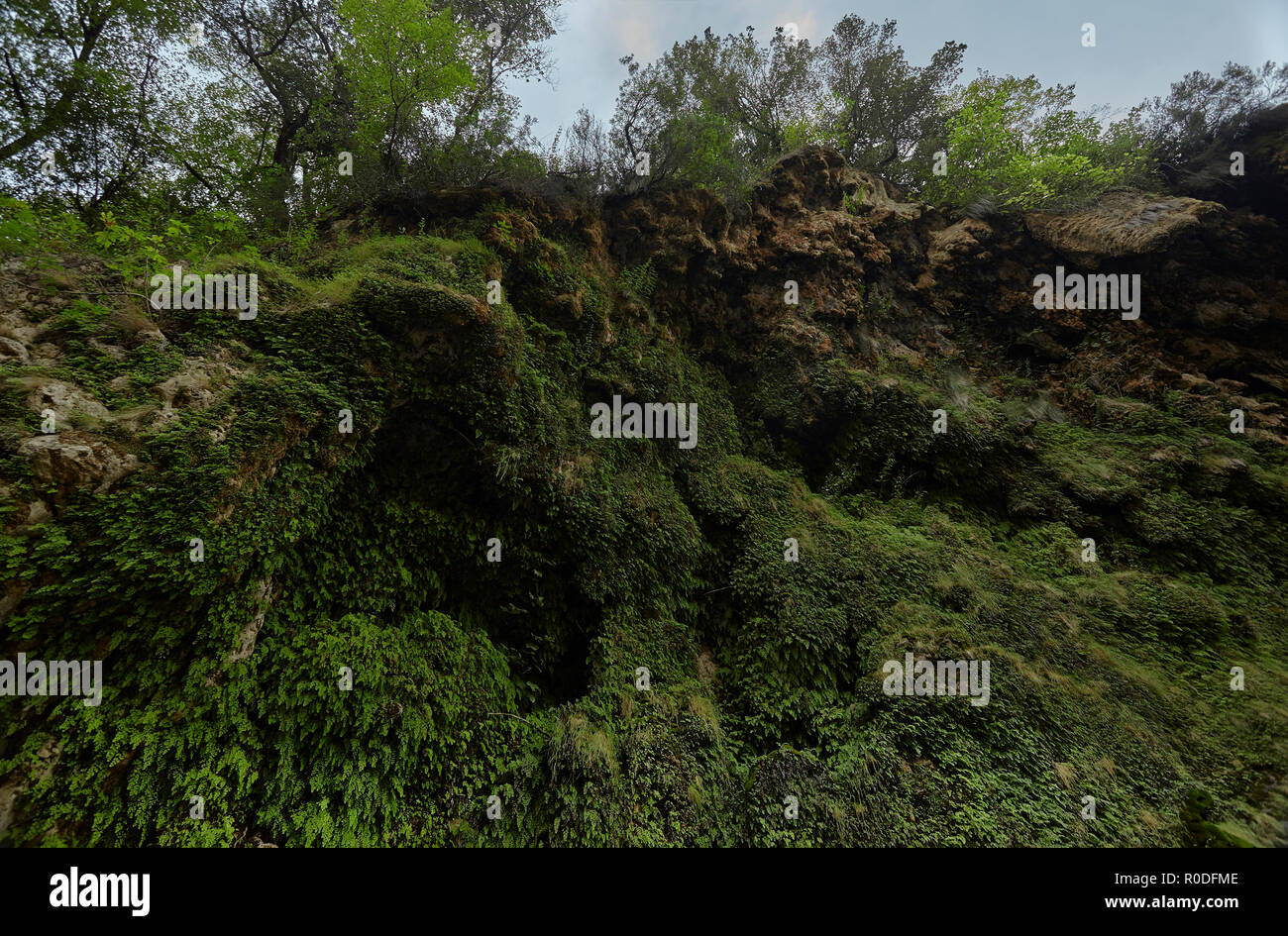 Dripstone beach hi-res stock photography and images - Alamy