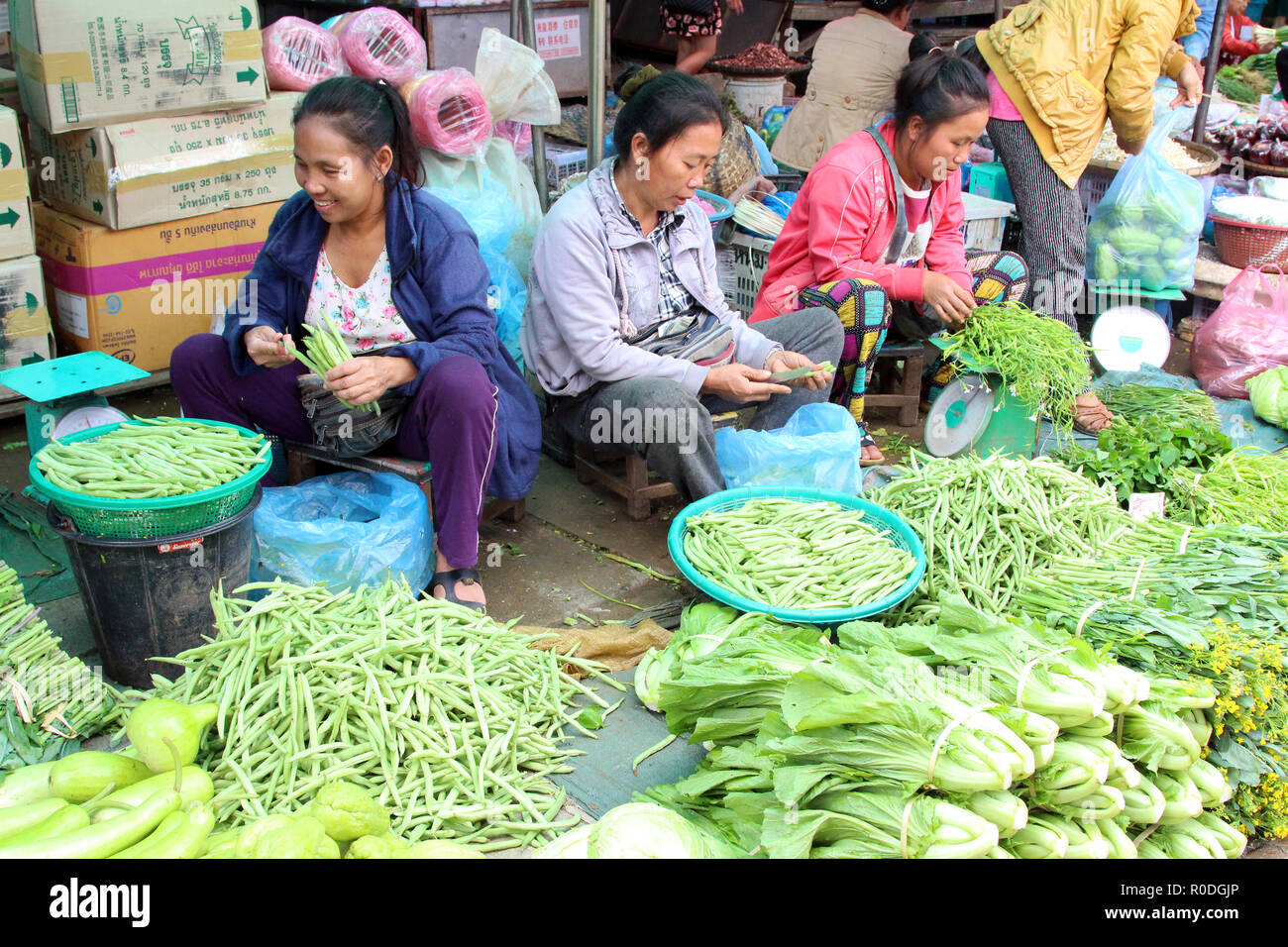 Green beans and other greens for sale at Phosi Market in Luang Prabang ...
