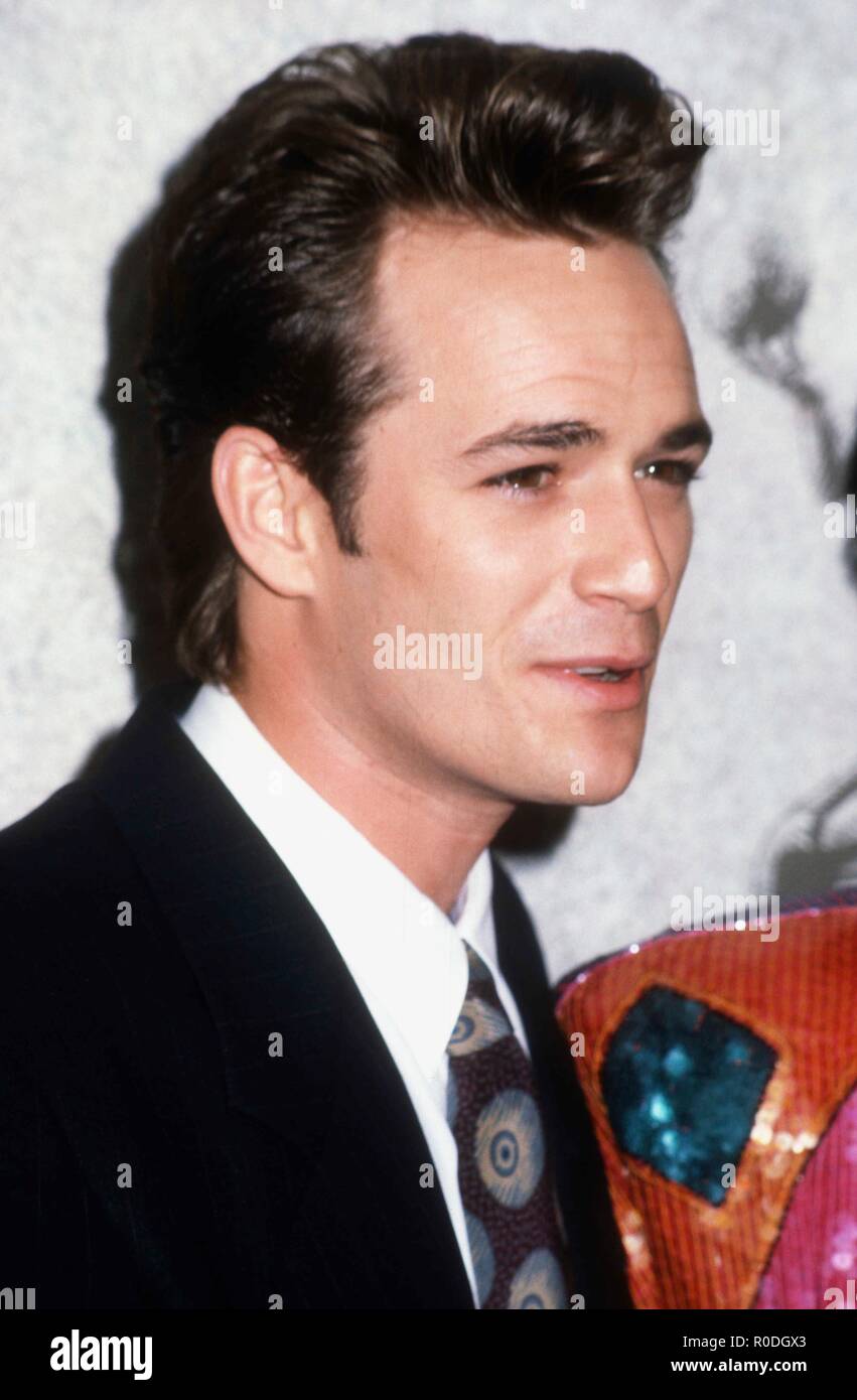HOLLYWOOD, CA - DECEMBER 6: Actor Luke Perry attends the Walt Disney ...