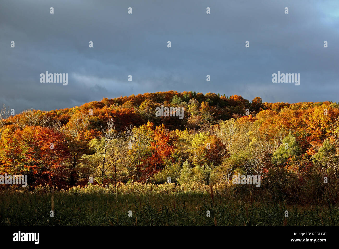 Chokai hi-res stock photography and images - Alamy