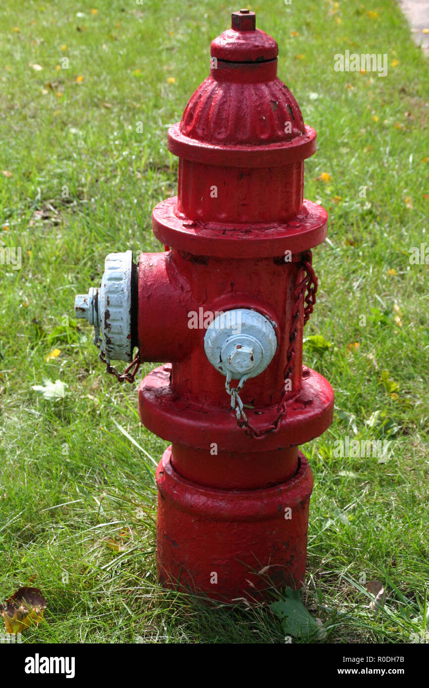 Picture of a red and white fire hydrant taken on a sunny day in Madison ...