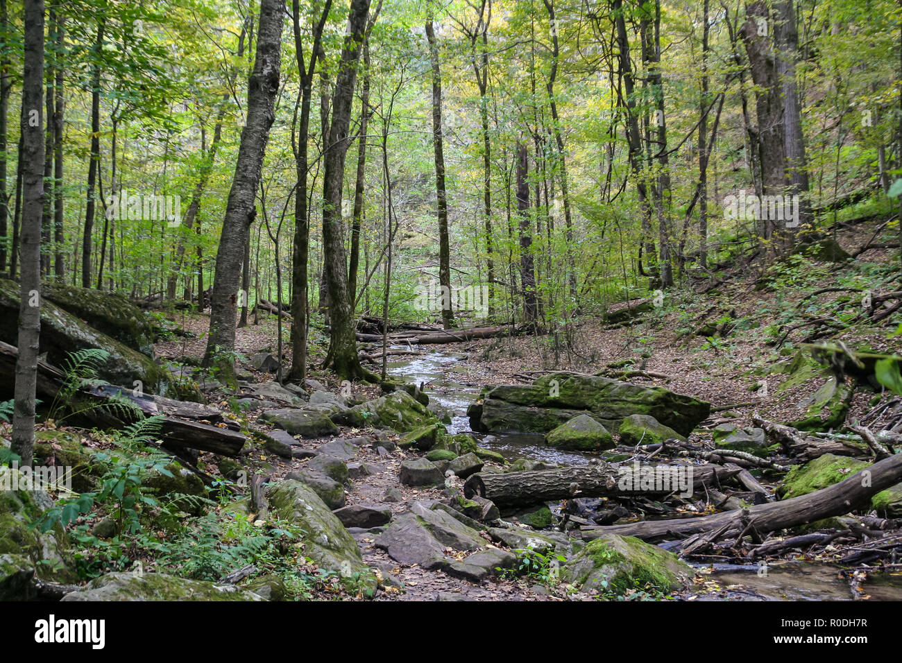 Governor dodge state park hi-res stock photography and images - Alamy