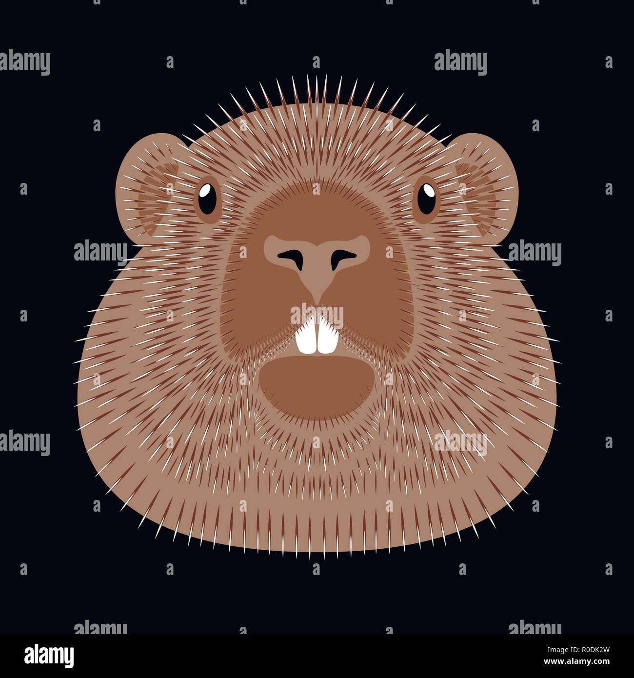 Hibernation vector vectors hi-res stock photography and images - Alamy