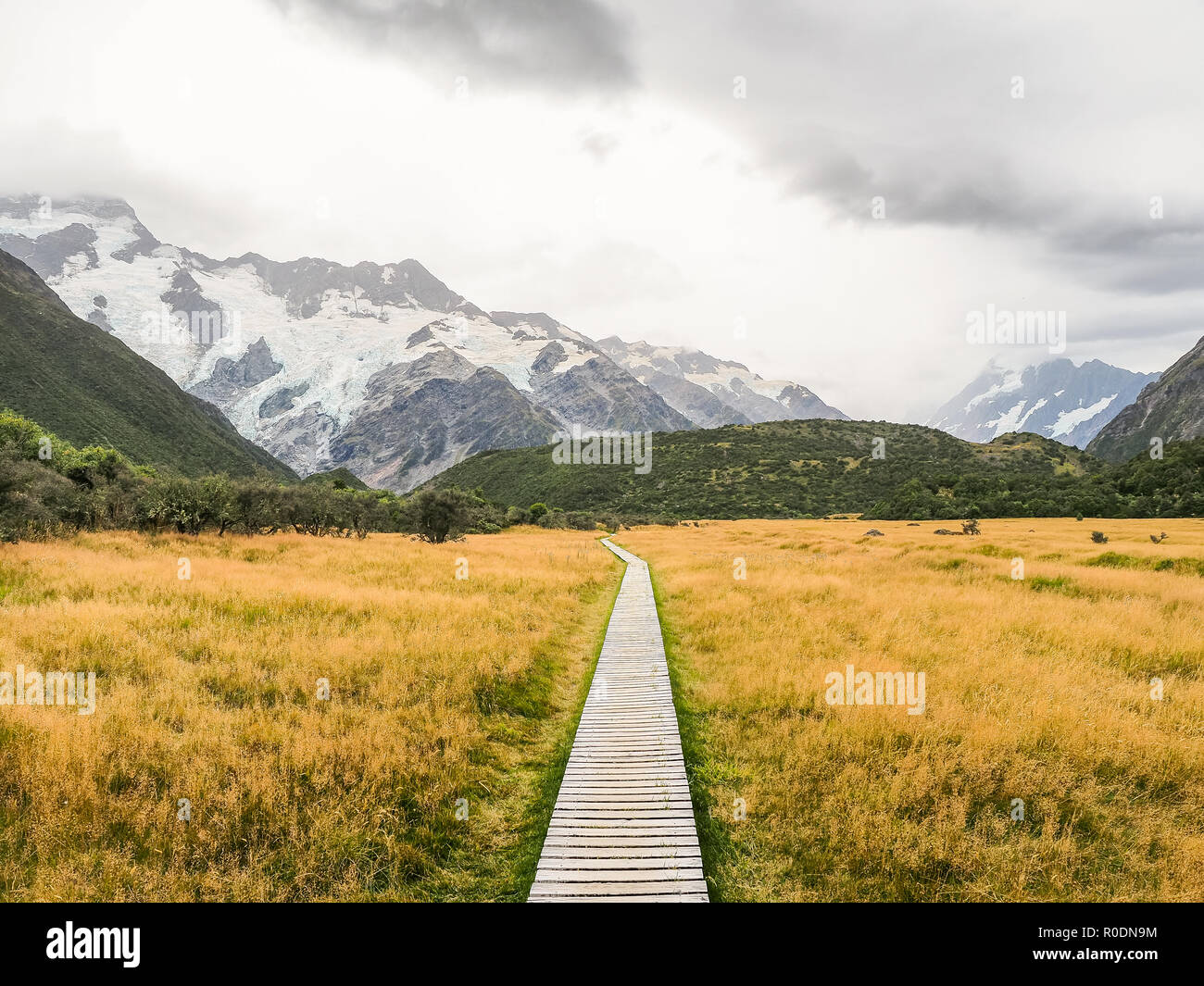 Kea point track hi-res stock photography and images - Alamy