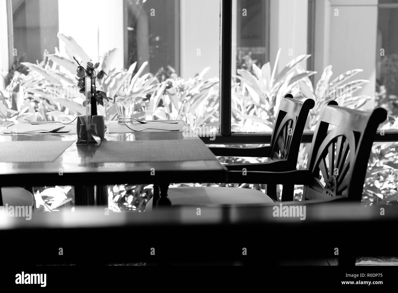 table & chair cafe coffee shop restaurant interior with garden view ...