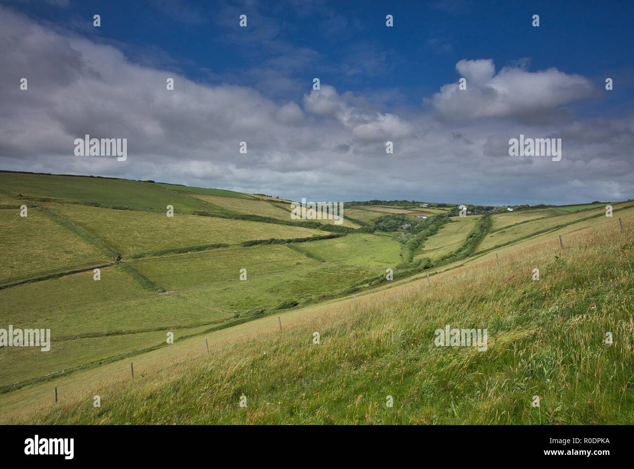 The views of Start Bay from the Southwest coast path, Devon, England ...
