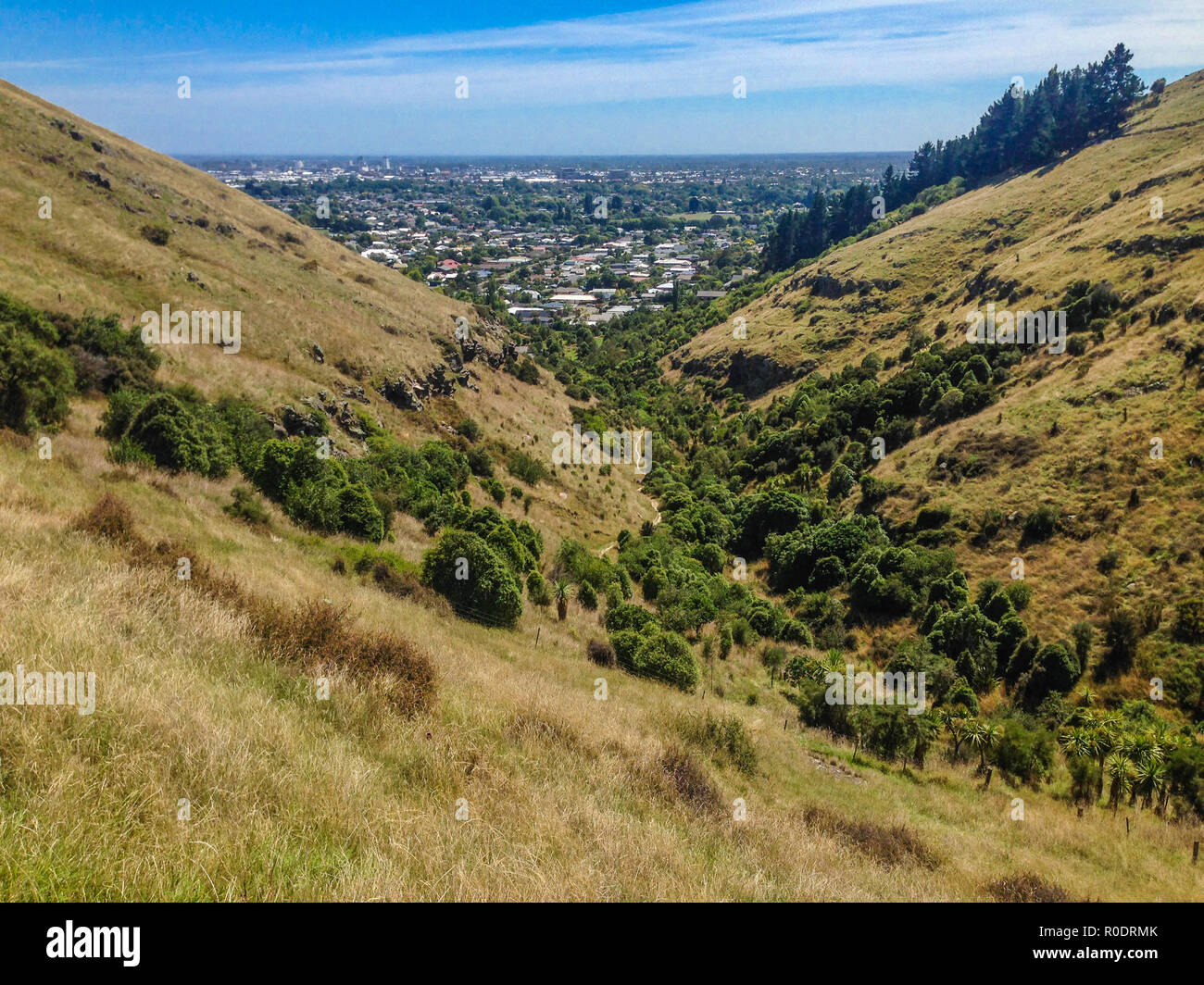 typical landscape on the South Island of New Zealand Stock Photo - Alamy