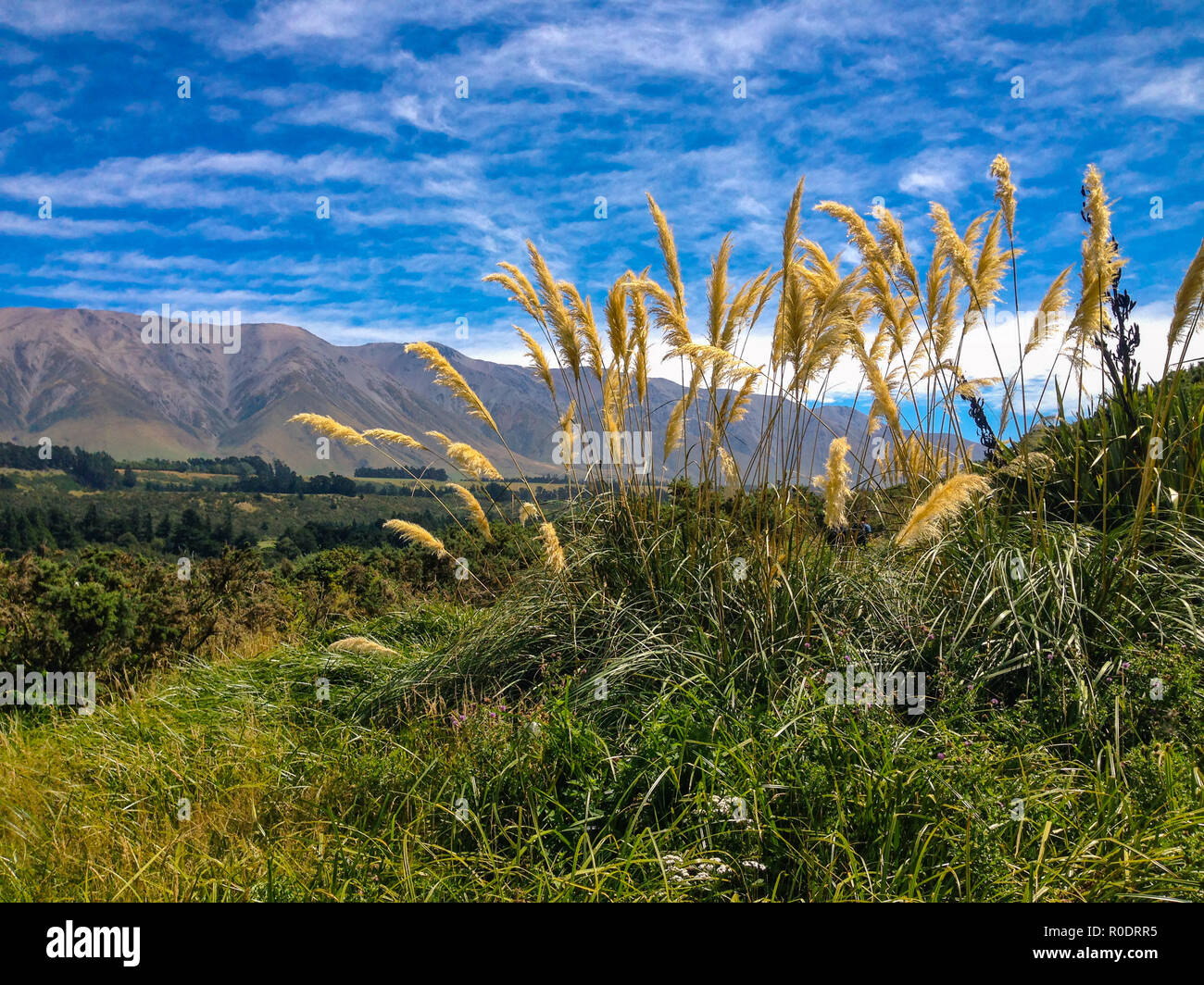 picturesque Rakaia Gorge and Rakaia River on the South Island of New ...