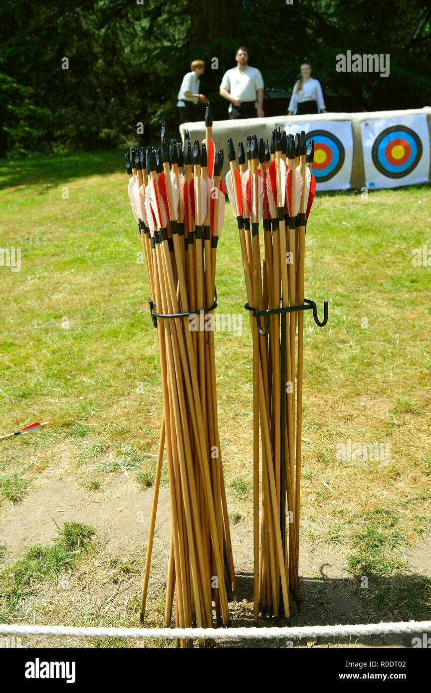 A box of arrows used for sport and hunting Stock Photo - Alamy