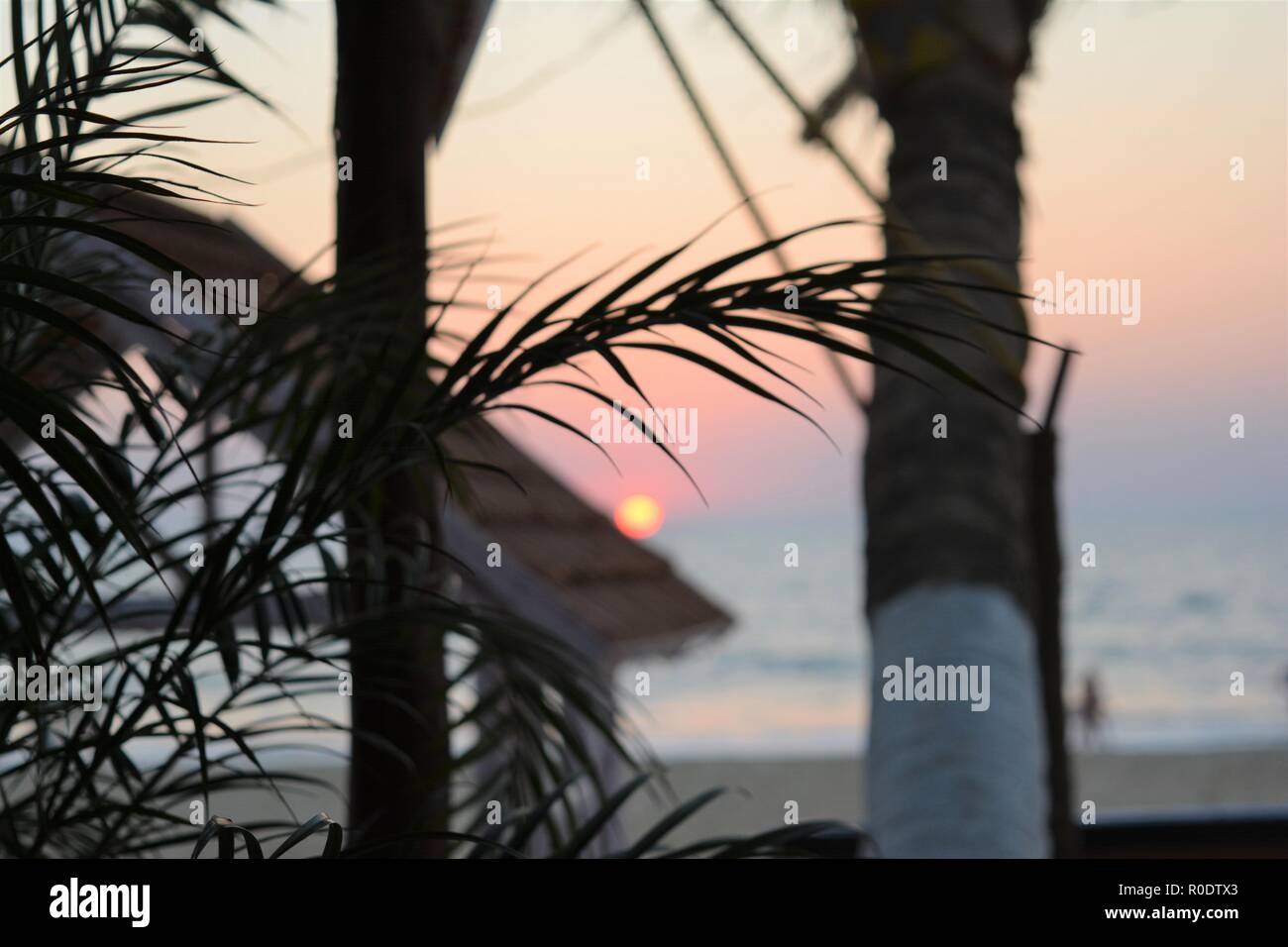 Sunset, beachview with palms in Goa, India Stock Photo - Alamy