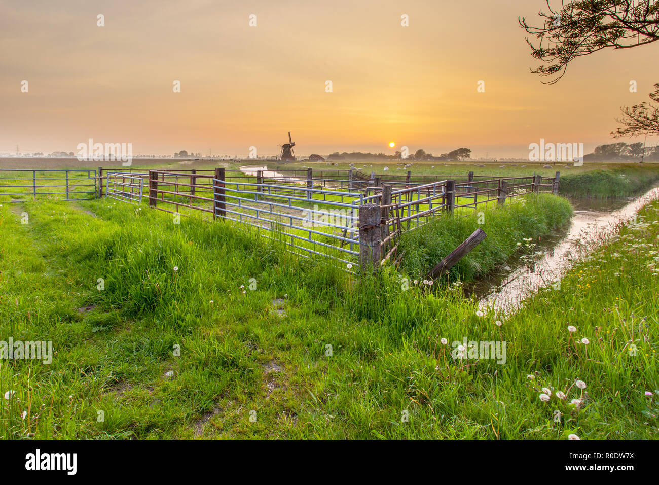 Dutch Landscape with Windmill and Fences during Sunset Stock Photo - Alamy