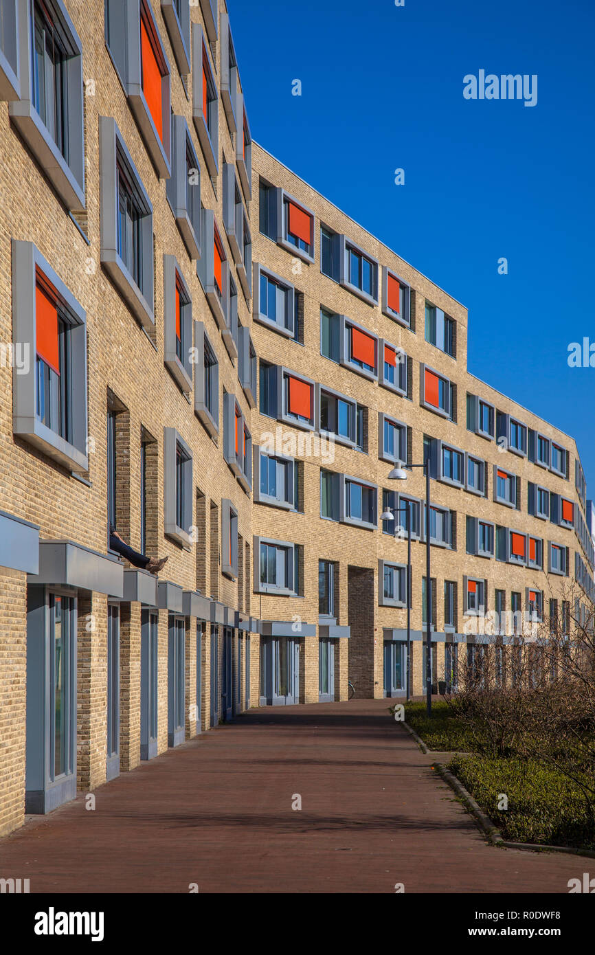 Modern apartment block with light bricks and orange sun screens in a ...