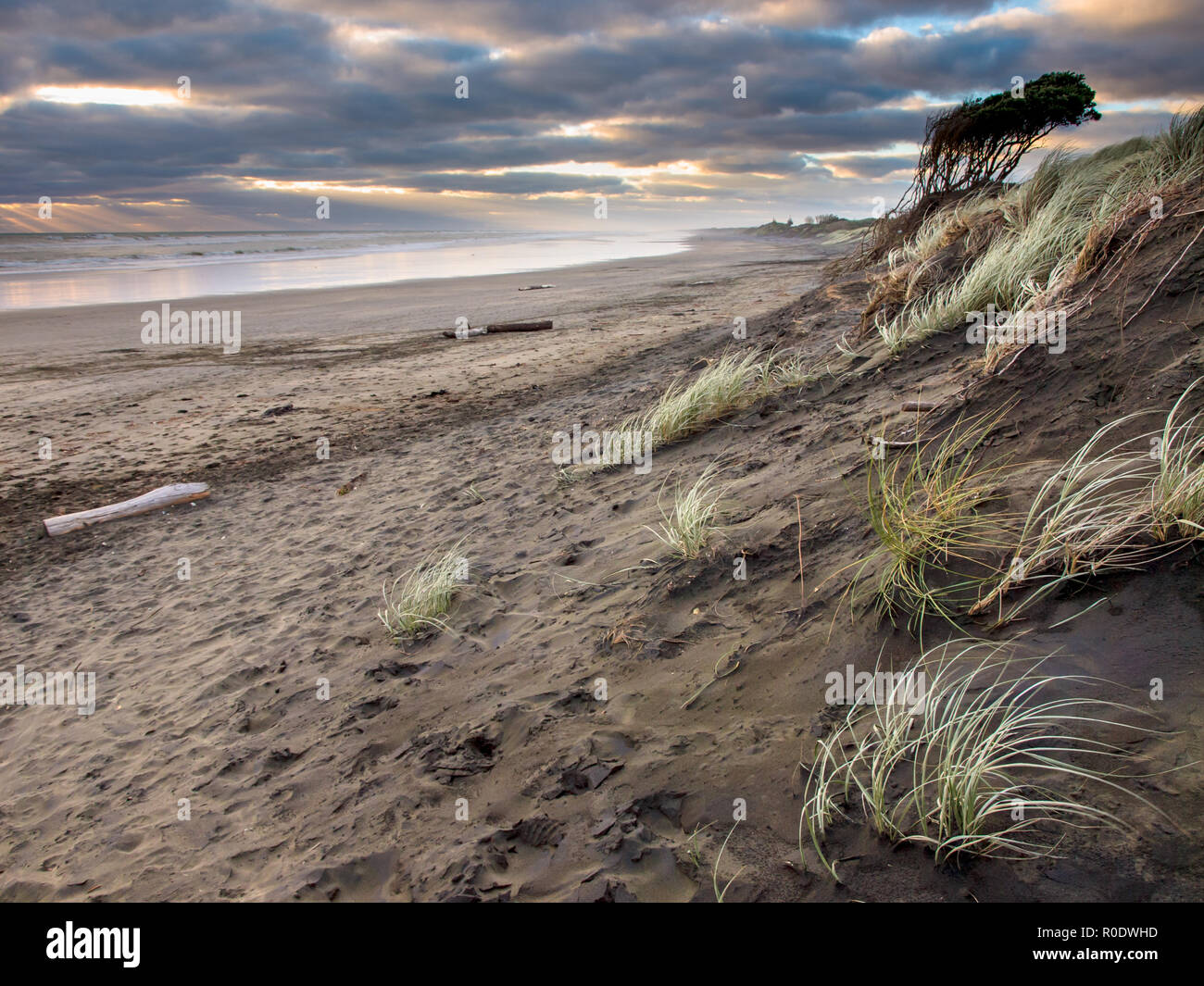 Isolated Kiwi Beach on a Windy Day Stock Photo - Alamy