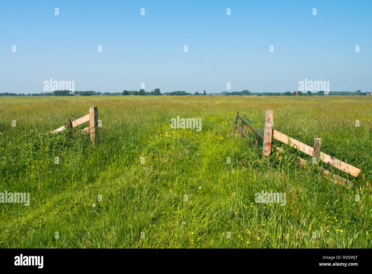 Netherlands ranch hi-res stock photography and images - Alamy
