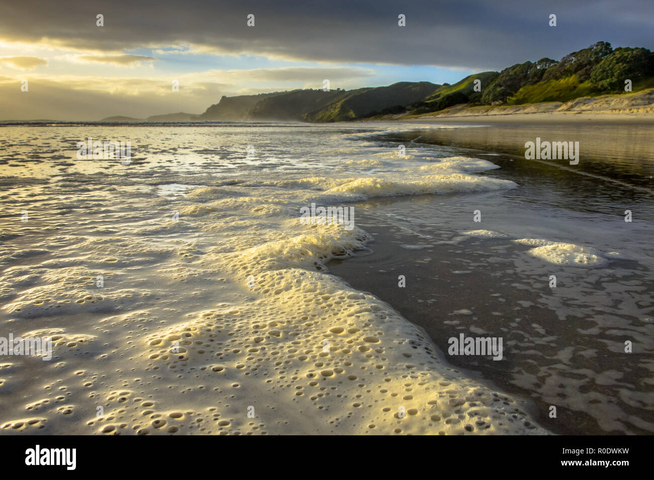 Pakiri Beach High Resolution Stock Photography and Images - Alamy