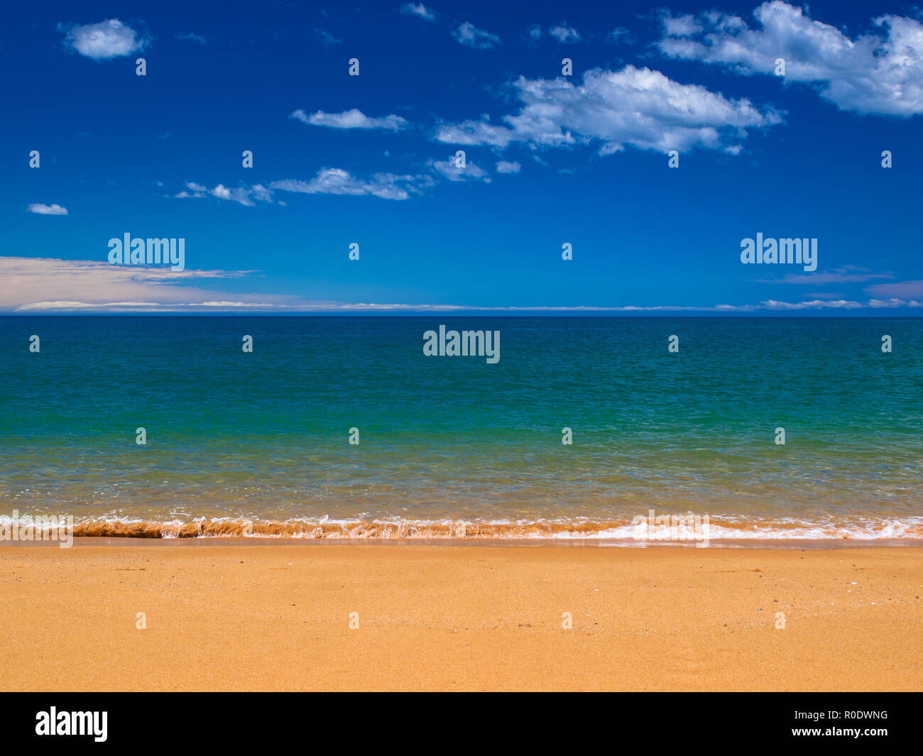 Horizon over Pacific Ocean in Abel Tasman National Park, New Zealand ...