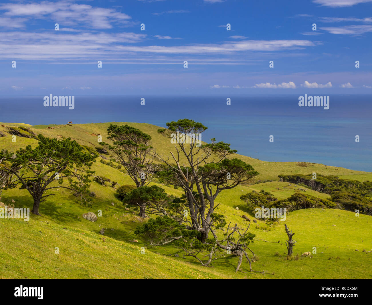 Raglan new zealand hi-res stock photography and images - Alamy