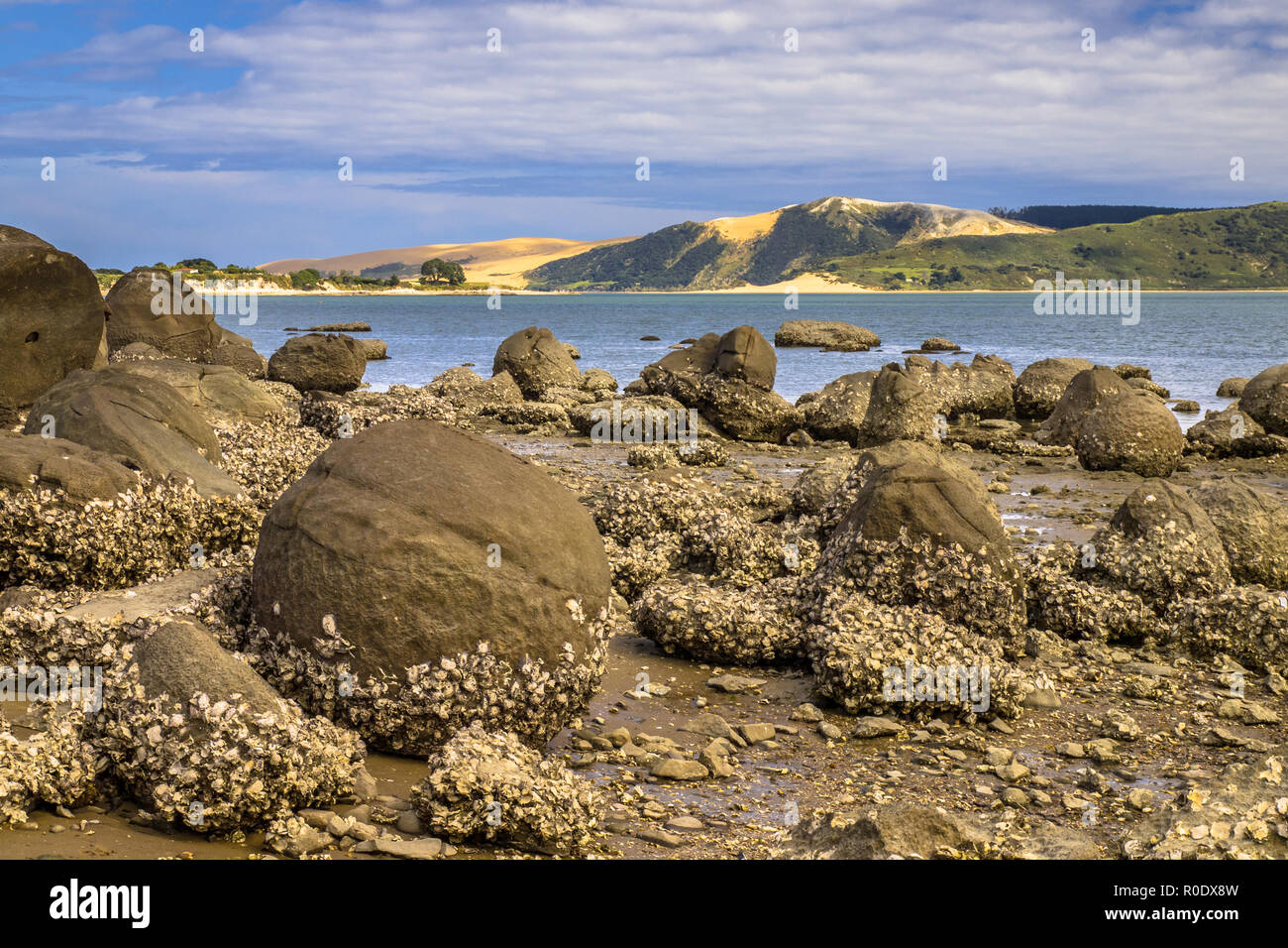 Opononi hi-res stock photography and images - Alamy