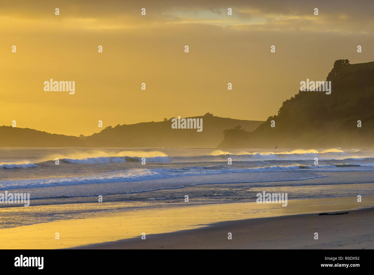 Pakiri beach hi-res stock photography and images - Alamy