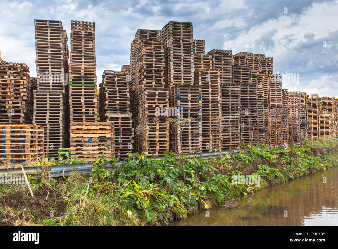 Stacks of used Wooden Euro Pallets at a Recycling Depot Stock Photo - Alamy