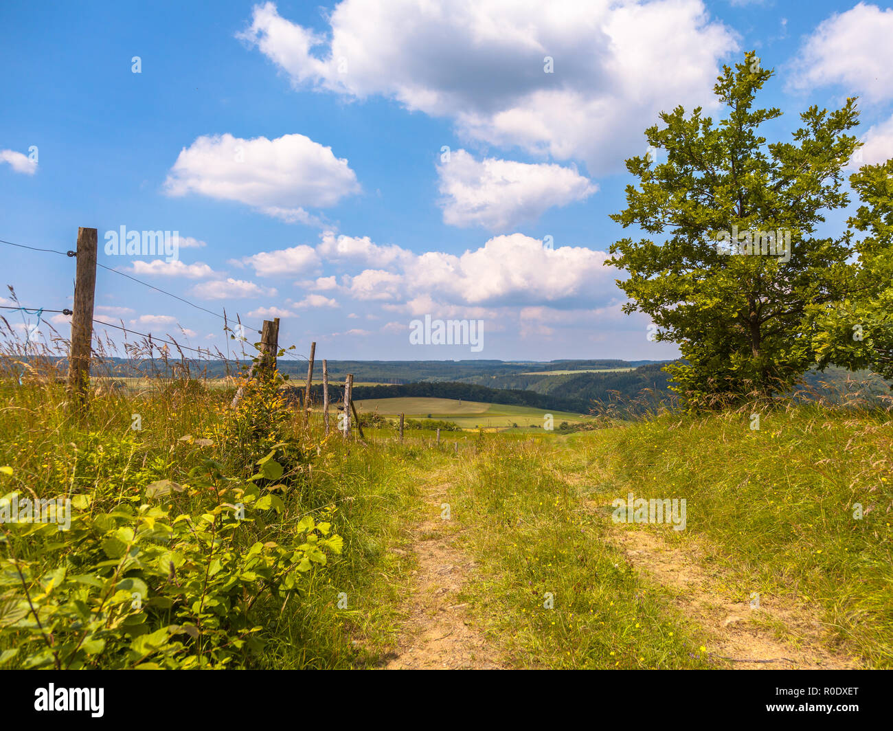 Green grass and rolling hills in germany hi-res stock photography and ...