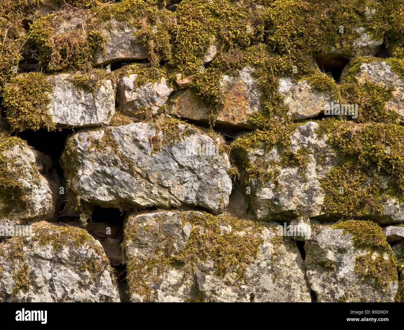 Moss grown stone wall hi-res stock photography and images - Alamy