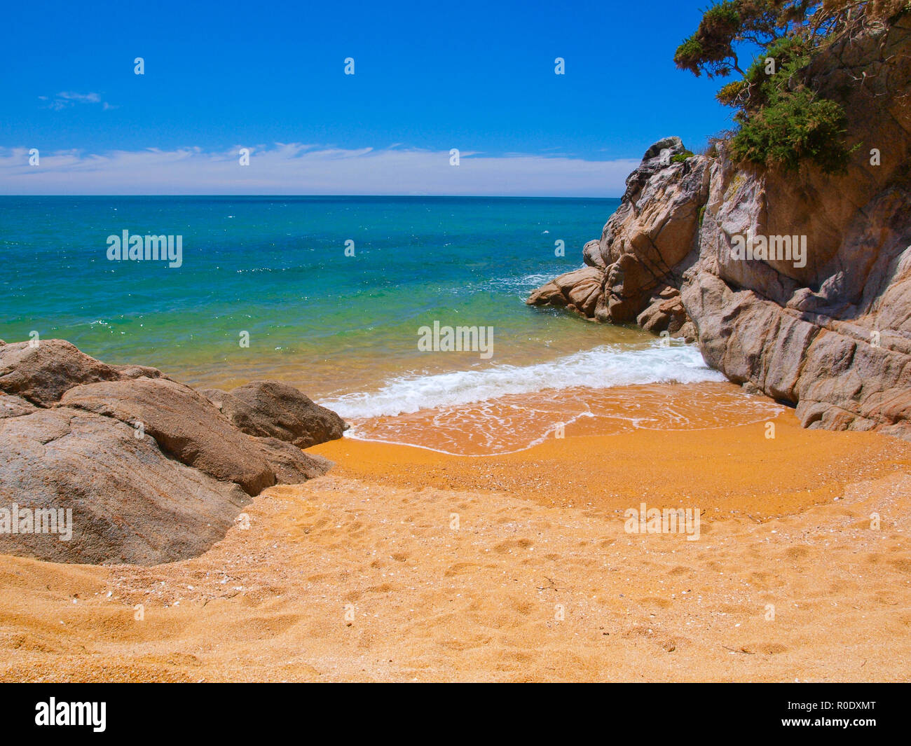 Small Secluded Beach in Abel Tasman National Park, New Zealand Stock ...