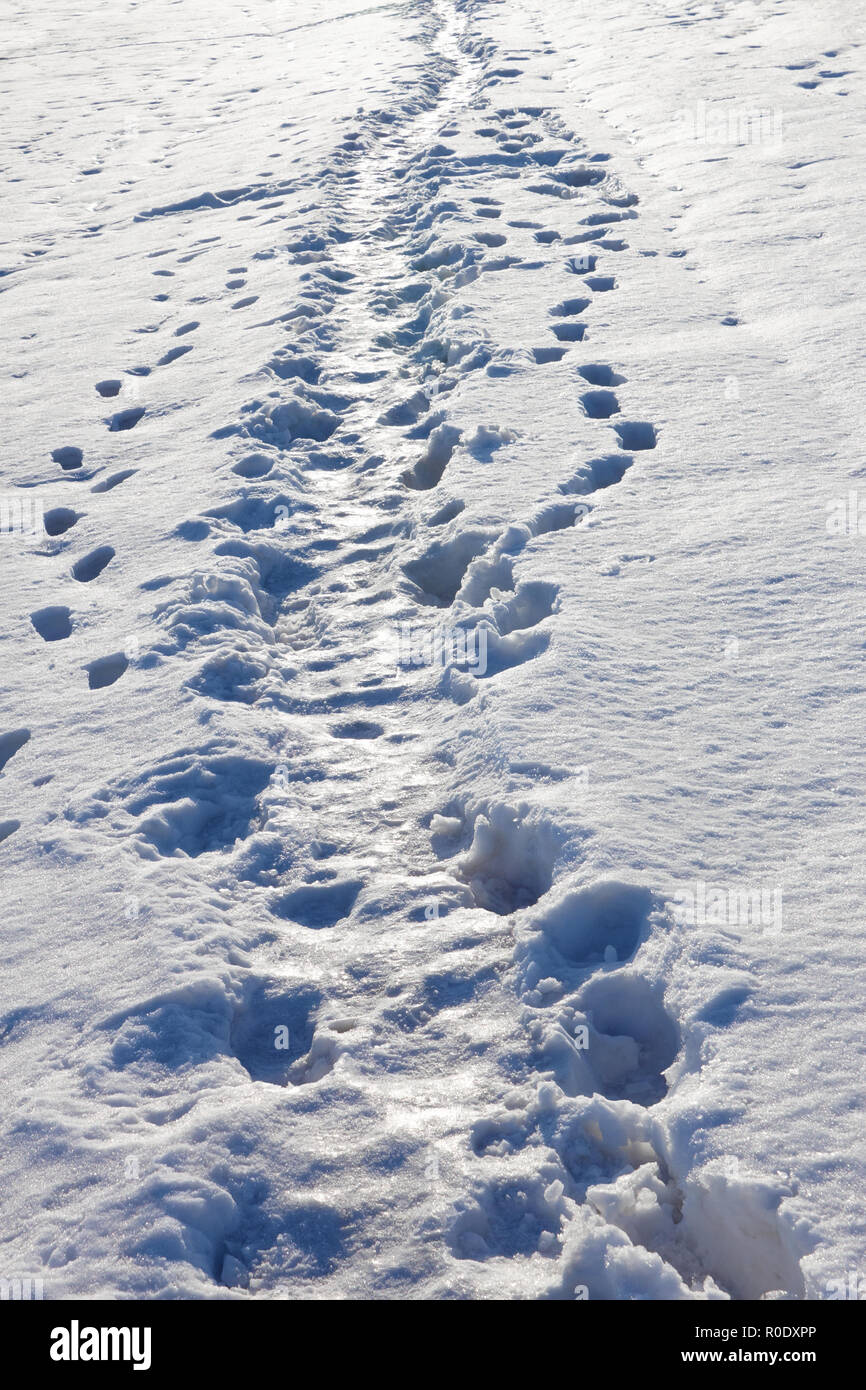 Trodden track hi-res stock photography and images - Alamy