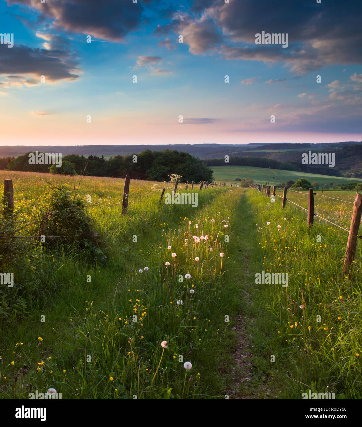 German countryside hi-res stock photography and images - Alamy