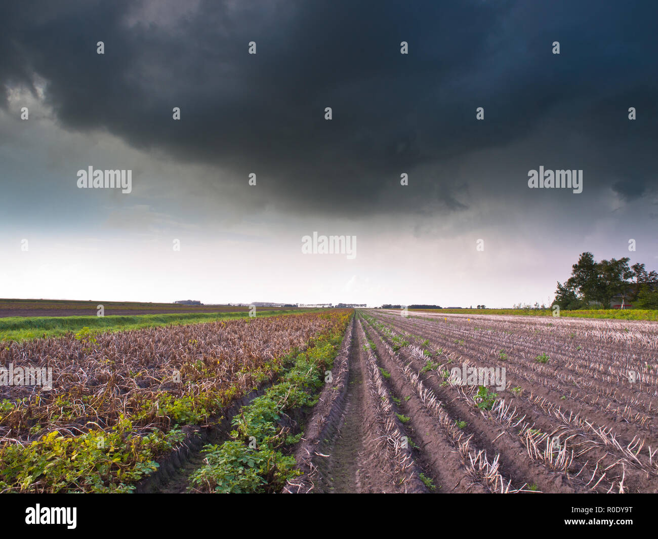 Rural landscape stormy weather hi-res stock photography and images - Alamy
