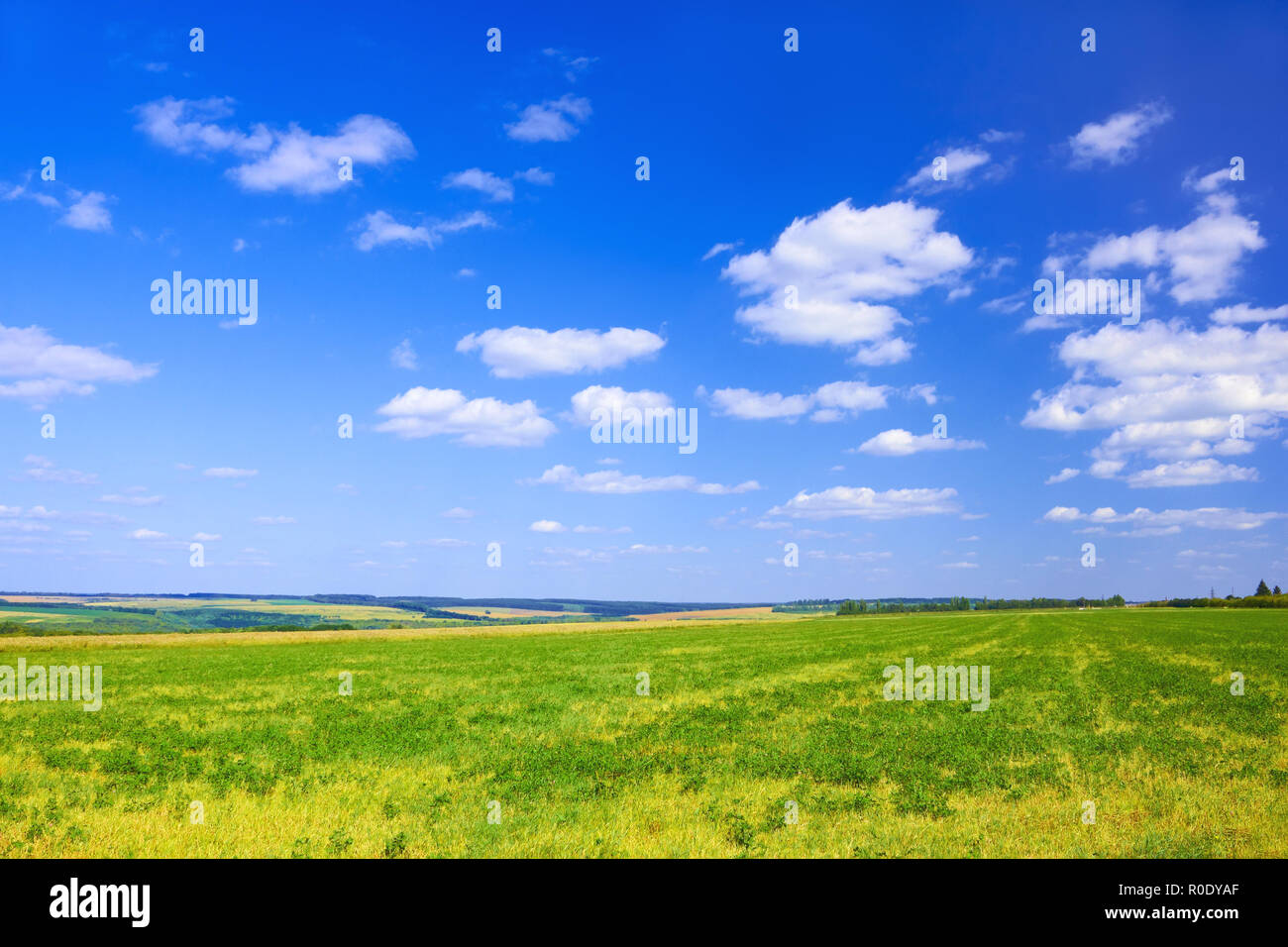 Beautiful late summer weather hi-res stock photography and images - Alamy