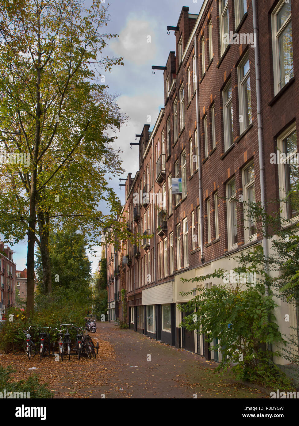 Amsterdam Urban City Scene with Apartments and Trees Stock Photo - Alamy