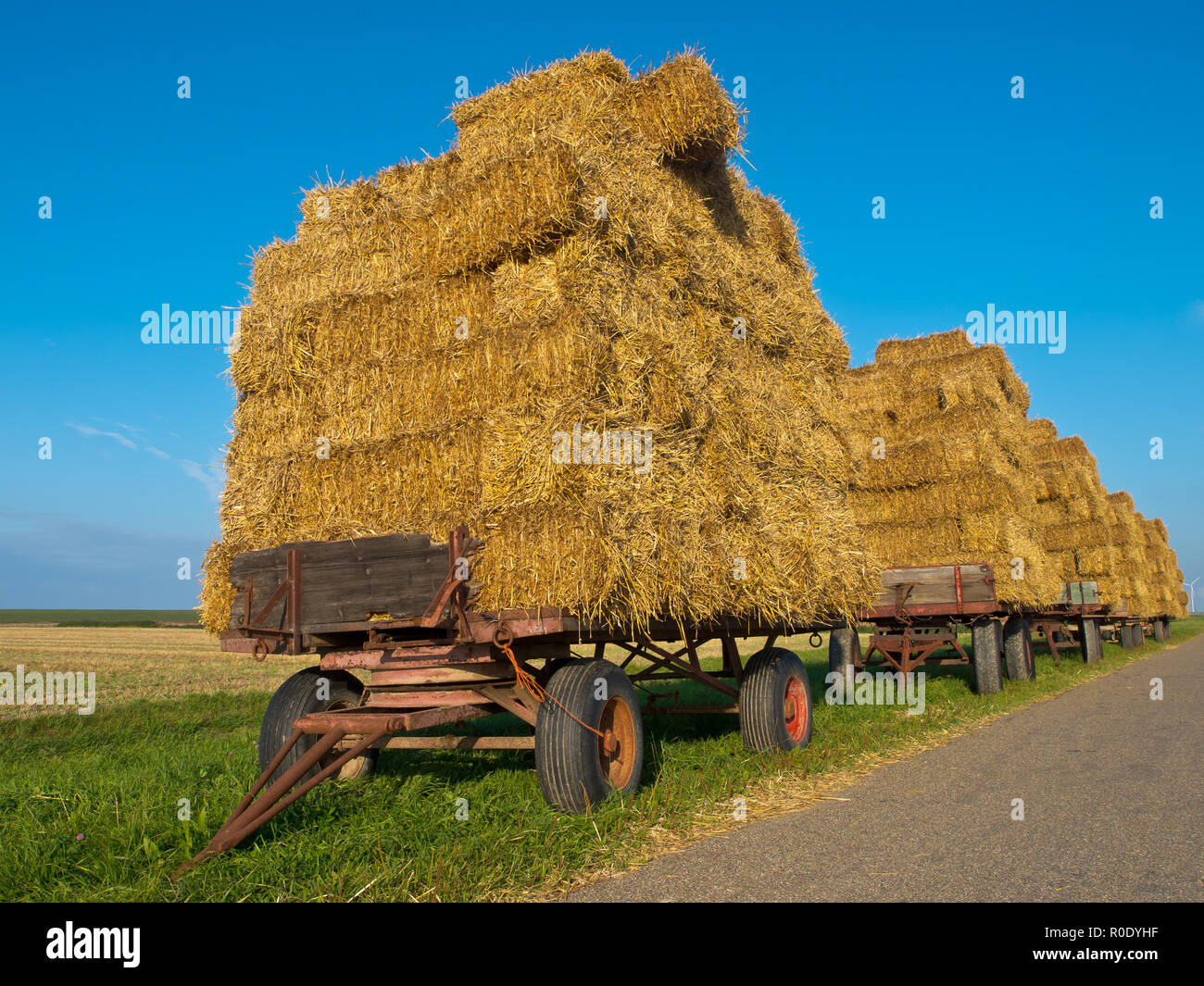 Row of hay hi-res stock photography and images - Alamy