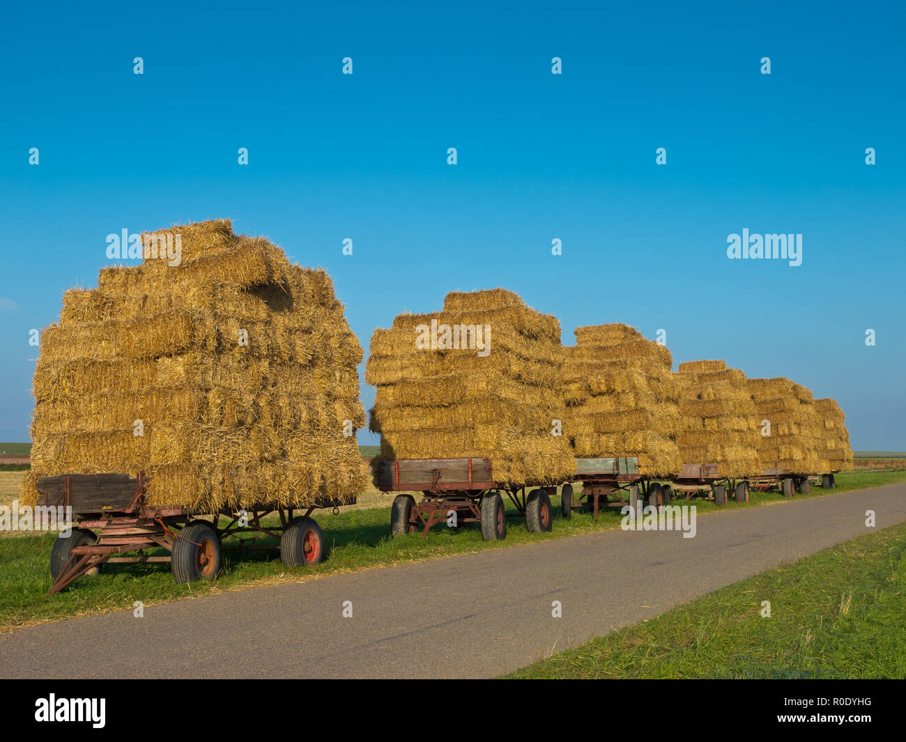 Row of Hay Wagons Along a Road in Sunny Countryside Waiting for ...