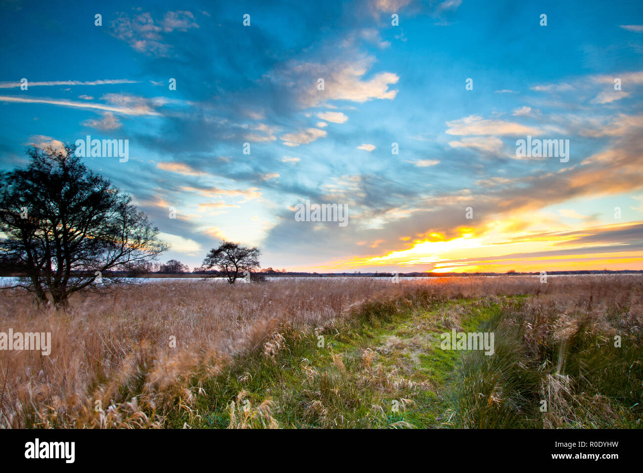 Rural trail hi-res stock photography and images - Alamy