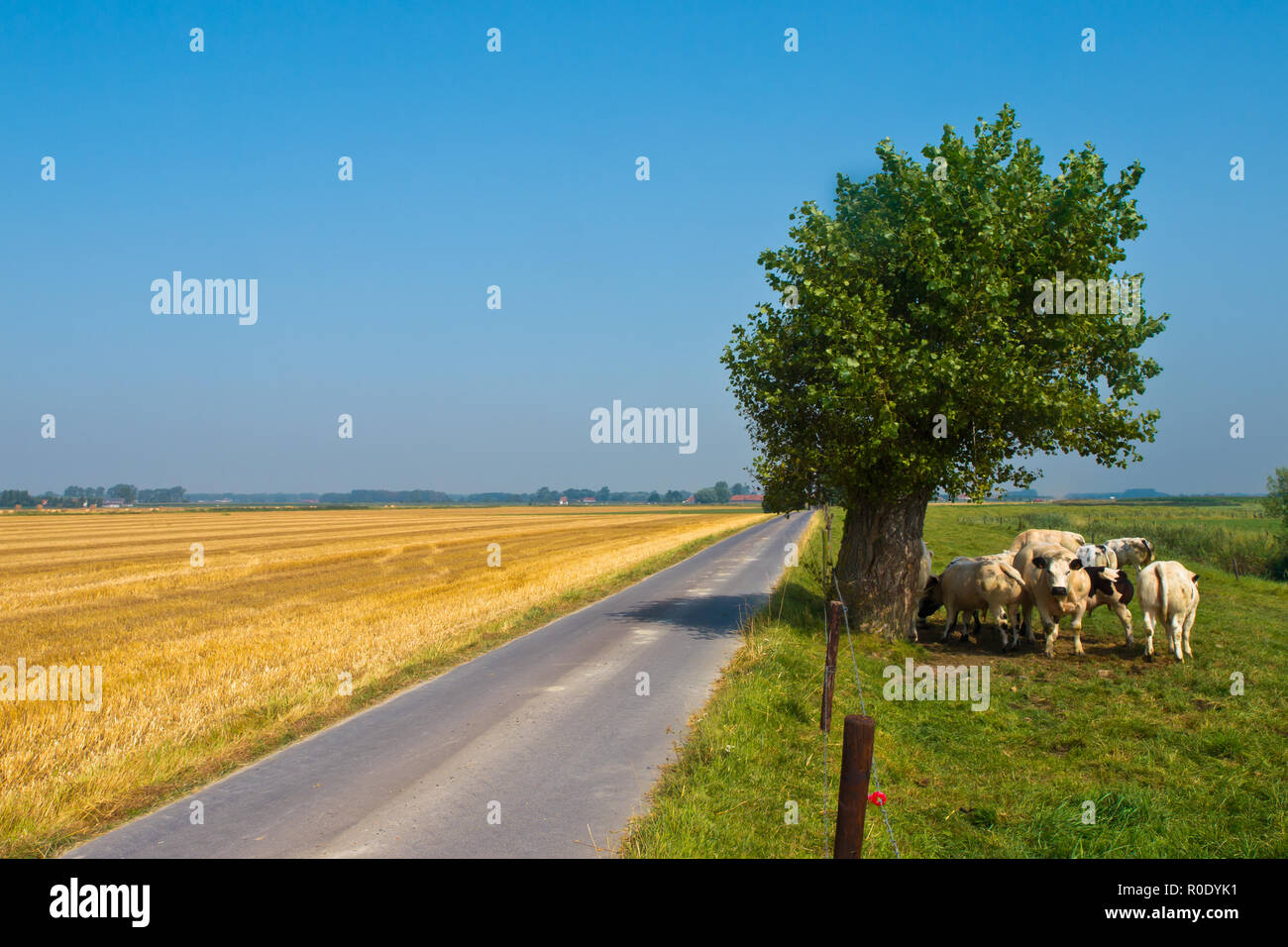 Most beautiful village of flanders hi-res stock photography and images ...