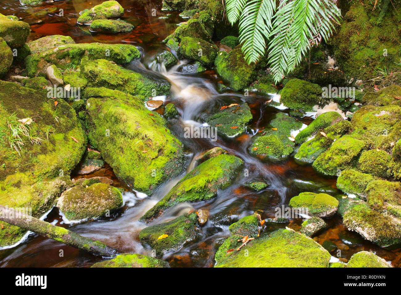 Water flowing between stones hi-res stock photography and images - Alamy