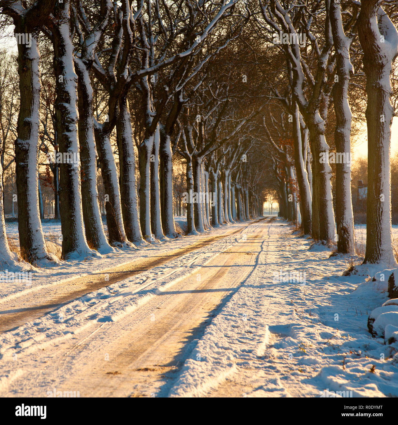 Lane drenthe hi-res stock photography and images - Alamy